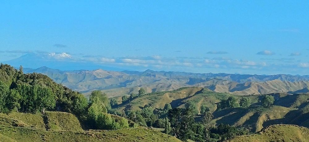 Wildernesswellness Co Nz